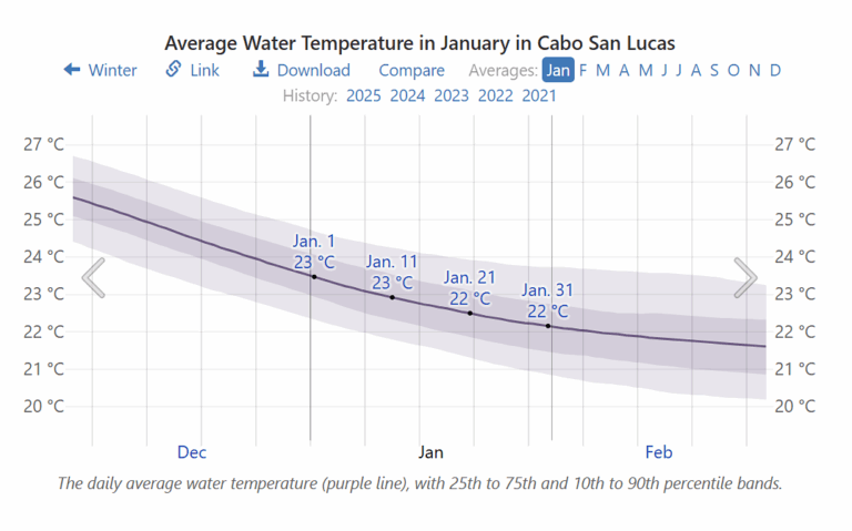Cabo San Lucas in January? Sun, Fun and Whales! – Cabo Visitor