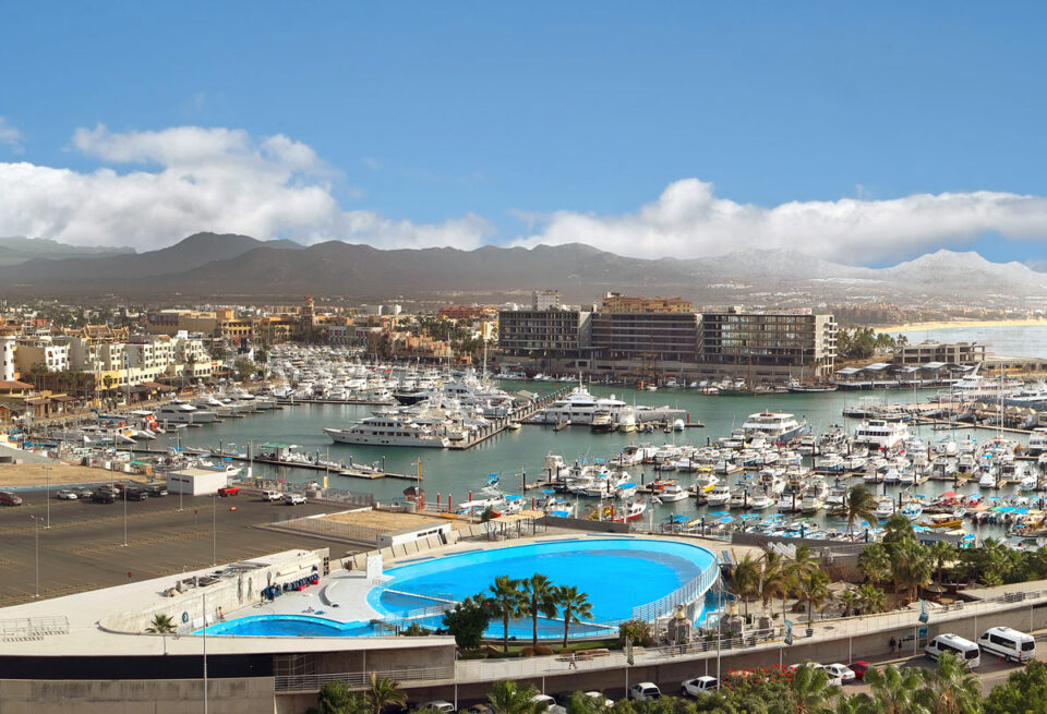 Cabo San Lucas in January? Sun, Fun and Whales! – Cabo Visitor