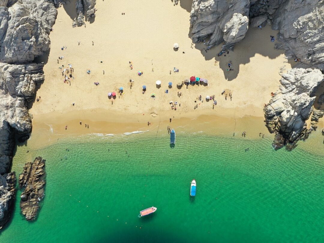Cabo San Lucas in January? Sun, Fun and Whales! – Cabo Visitor