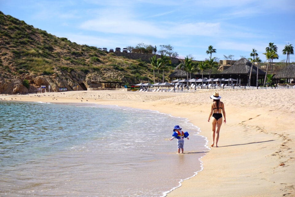 9 Great Swimmable Beaches in Cabo: A Complete Guide! – Cabo Visitor