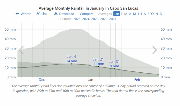 Cabo San Lucas in January? Sun, Fun and Whales! – Cabo Visitor