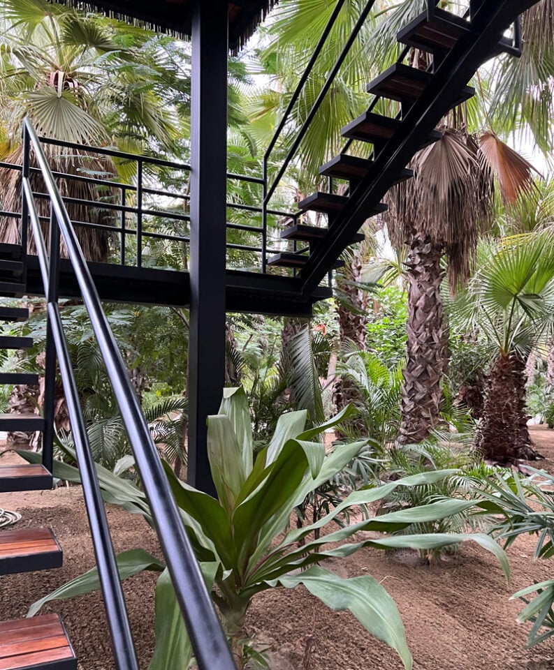 Local Secrets: 19 Unique Things to Do in Cabo San Lucas – Cabo Visitor