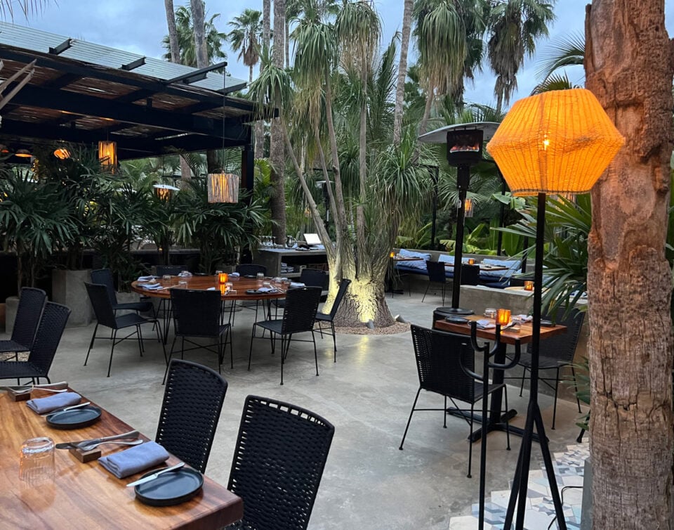 Eat Local: Cabo's Top 5 Farm-to-Table Restaurants – Cabo Visitor