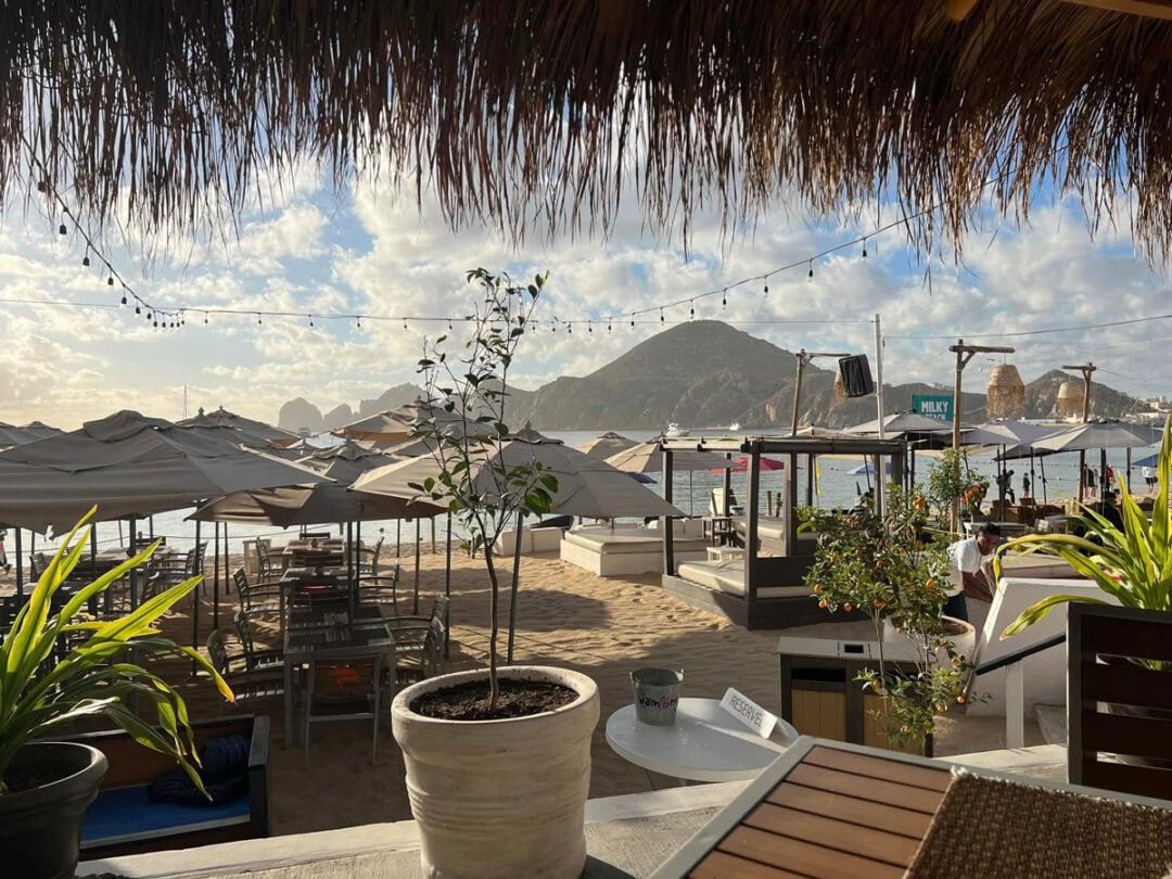 The 11 Best Beach Clubs in Cabo for Sun and Fun! – Cabo Visitor