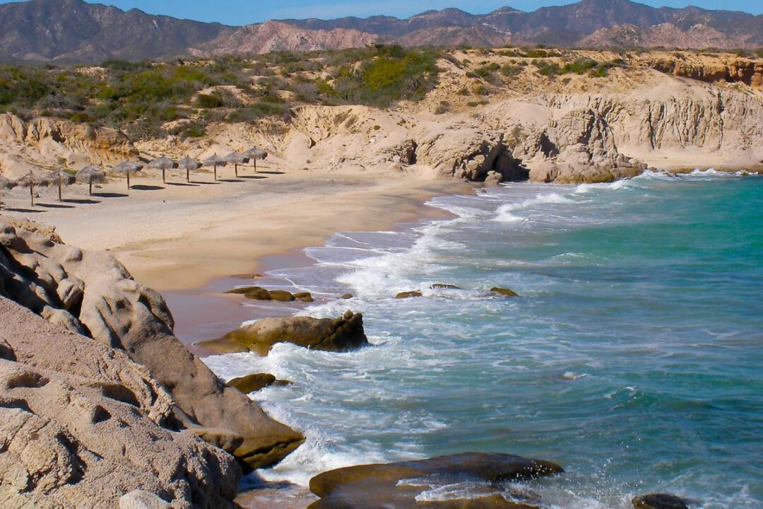 Discover Cabo Pulmo: Beaches, Day Tours and Tips – Cabo Visitor