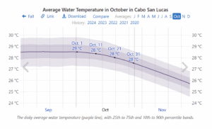 Cabo in October: Warm Days and Epic Activities! – Cabo Visitor