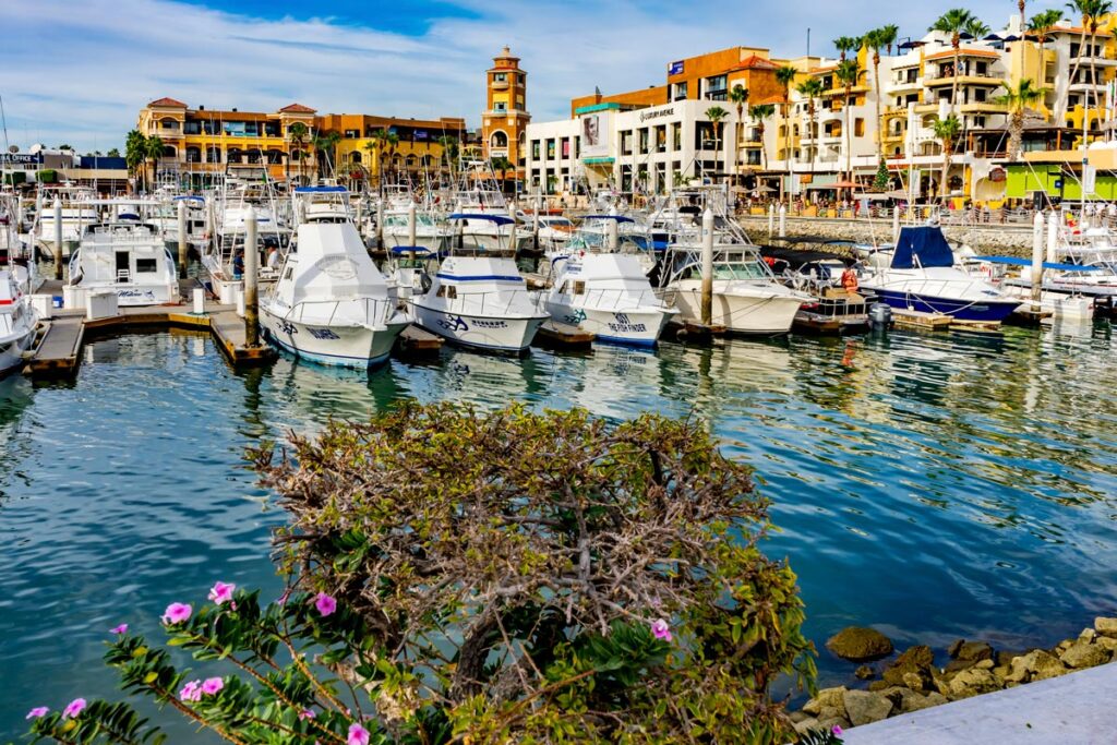 10 Fun Things to Do in Cabo San Lucas' Cruise Port! – Cabo Visitor