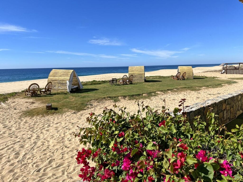 9 Best Beaches in Todos Santos (Mexico) for Baja Fun – Cabo Visitor