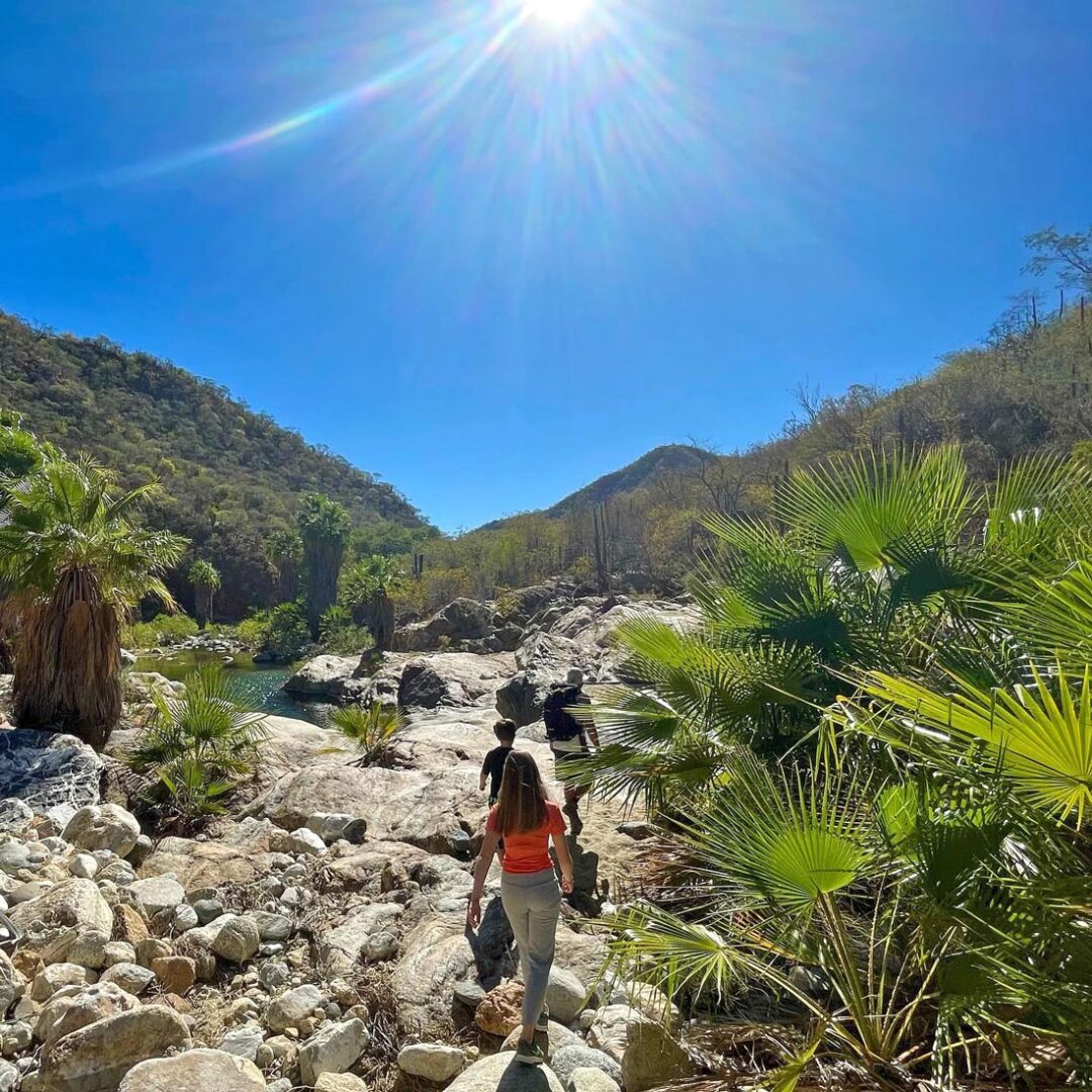 Hike Cabo’s Fox Canyon (and to the Sol de Mayo Waterfall) – Cabo Visitor