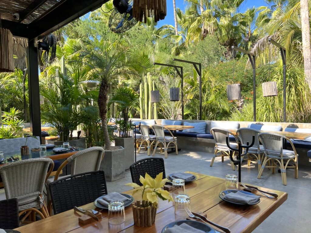 Acre Resort Review: A Unique Treehouse Stay in San Jose del Cabo – Cabo ...