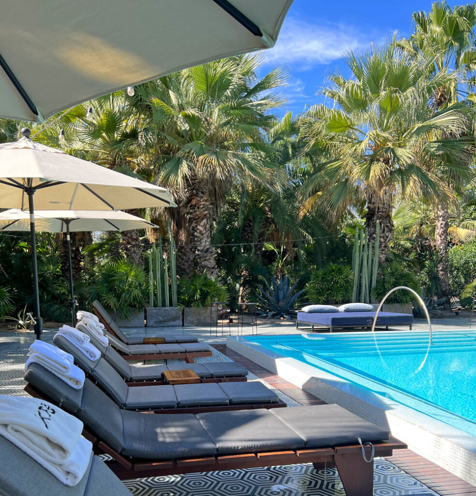 Acre Resort Review: A Unique Treehouse Stay in San Jose del Cabo – Cabo ...