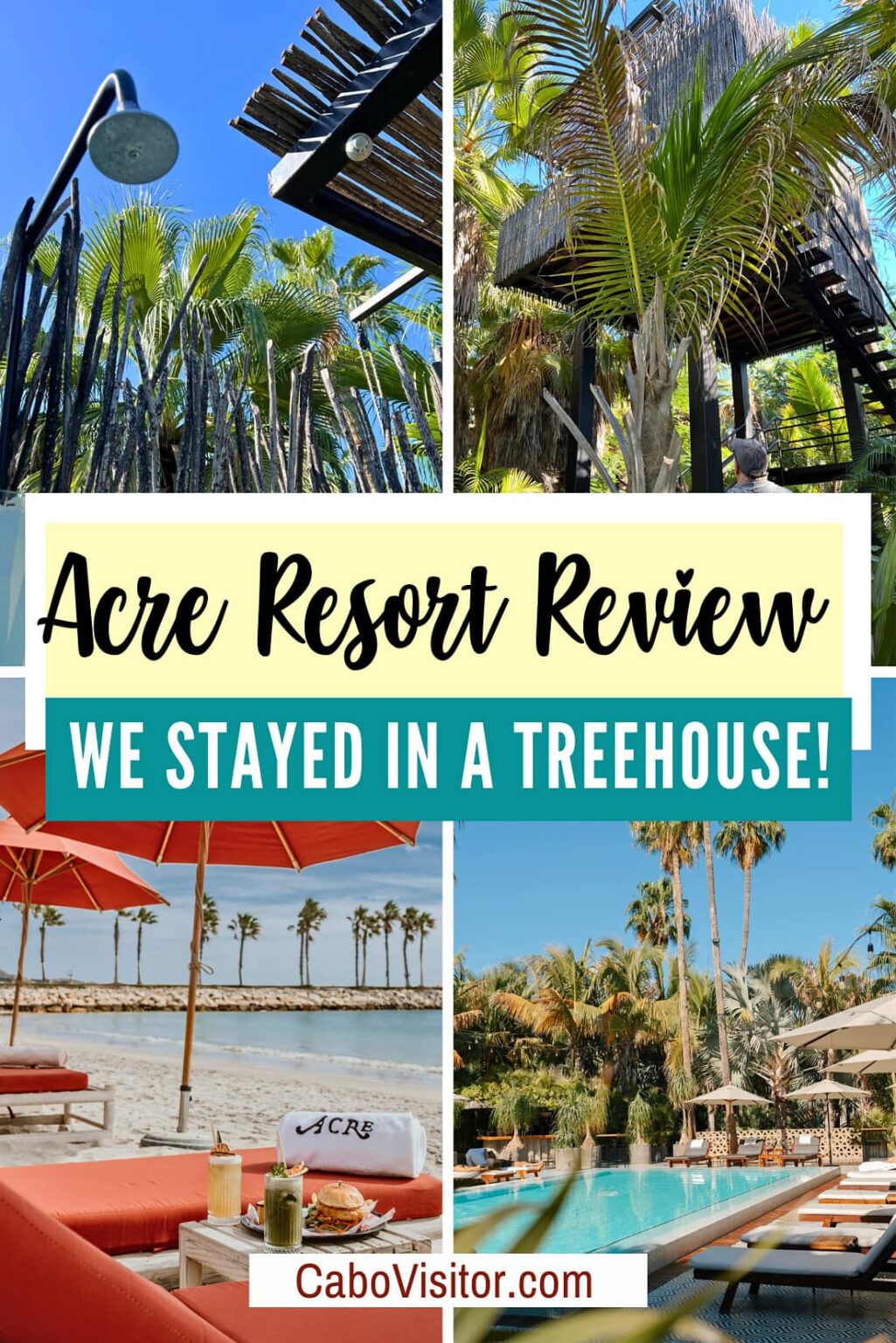 Acre Resort Review: A Unique Treehouse Stay in San Jose del Cabo – Cabo ...