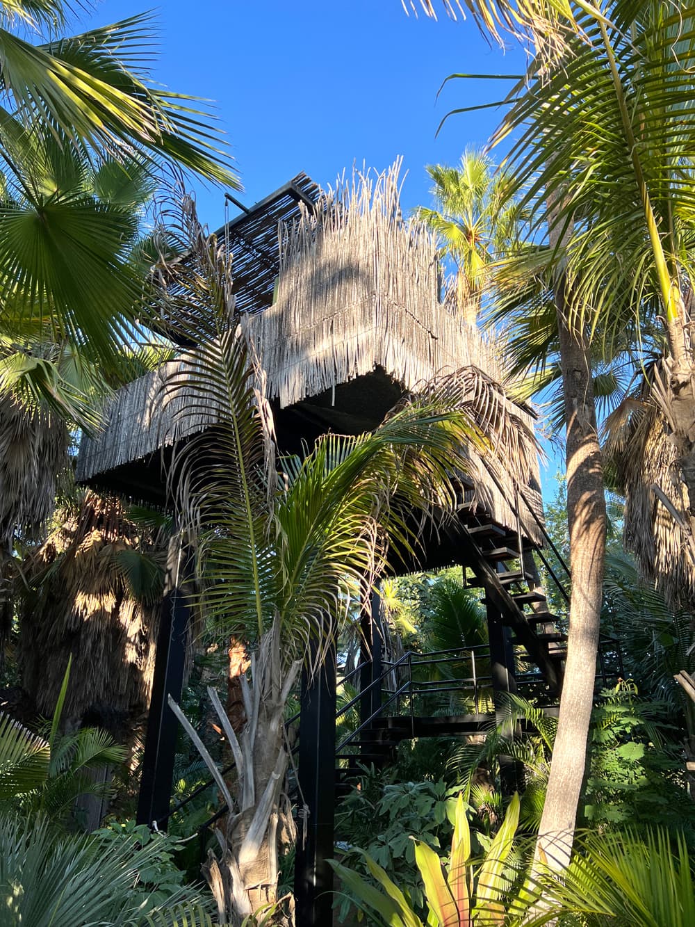 Acre Resort Review: A Unique Treehouse Stay in San Jose del Cabo – Cabo ...